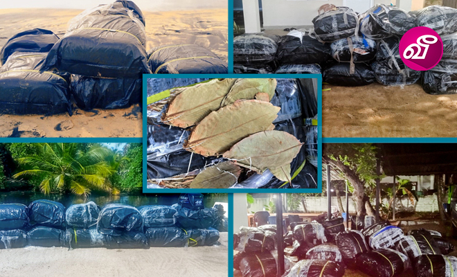 சட்டவிரோதமாக இறக்குமதி செய்யப்பட்ட 2250 கிலோ பீடி இலைகள் கைப்பற்றல் ...